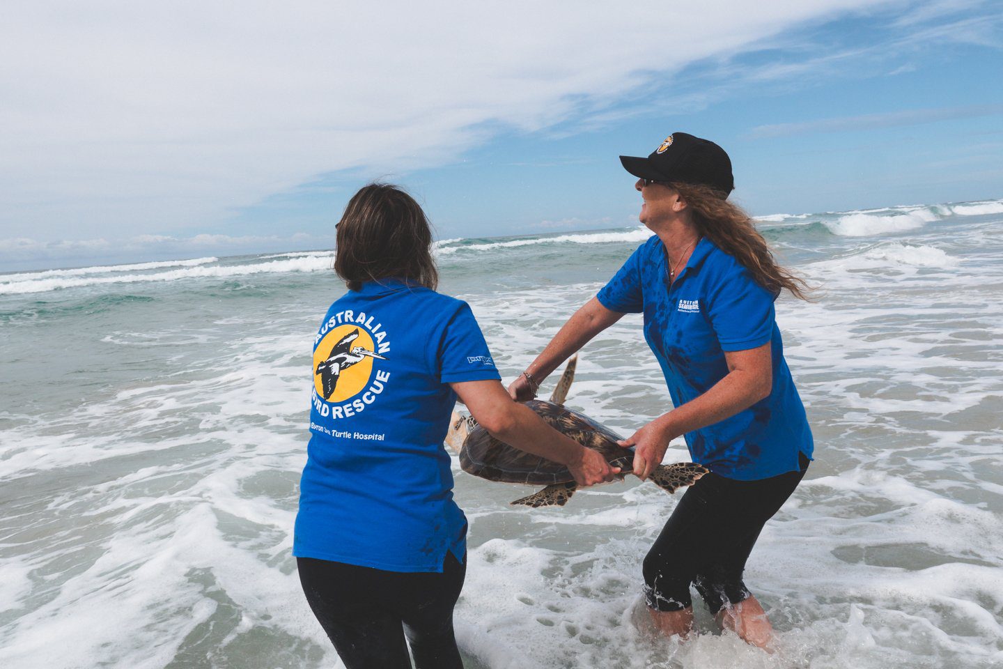 FORGET VISITING ZOO'S: Why not save turtles plastic pollution in Byron Bay?