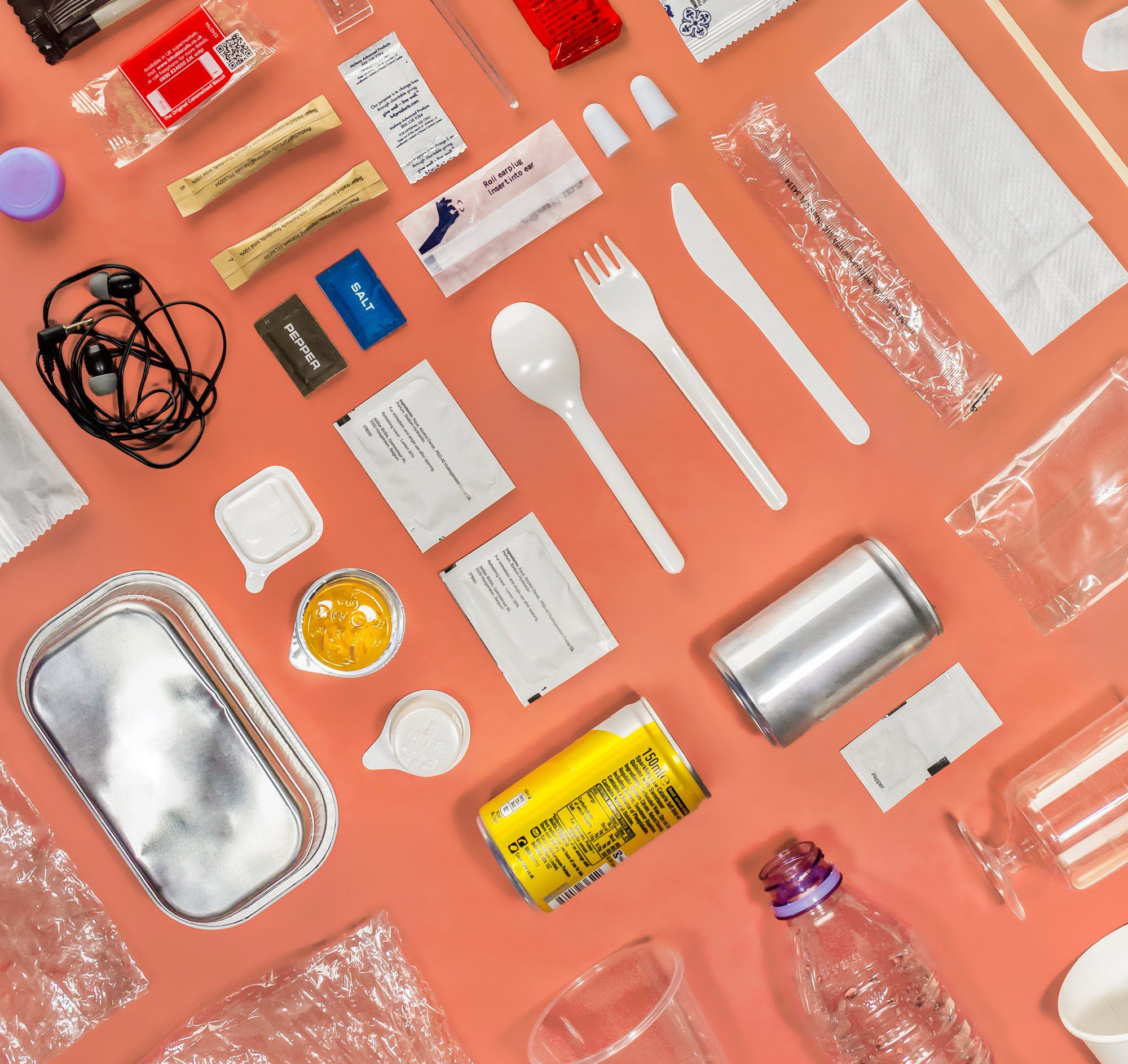 THE SUSTAINABLE IN-FLIGHT MEAL TRAY: Partially Edible And 100% Eco-Friendly