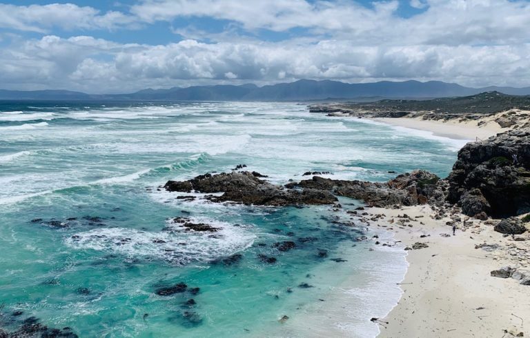 Guardians Of Gansbaai: Community Conservation In A South African ...